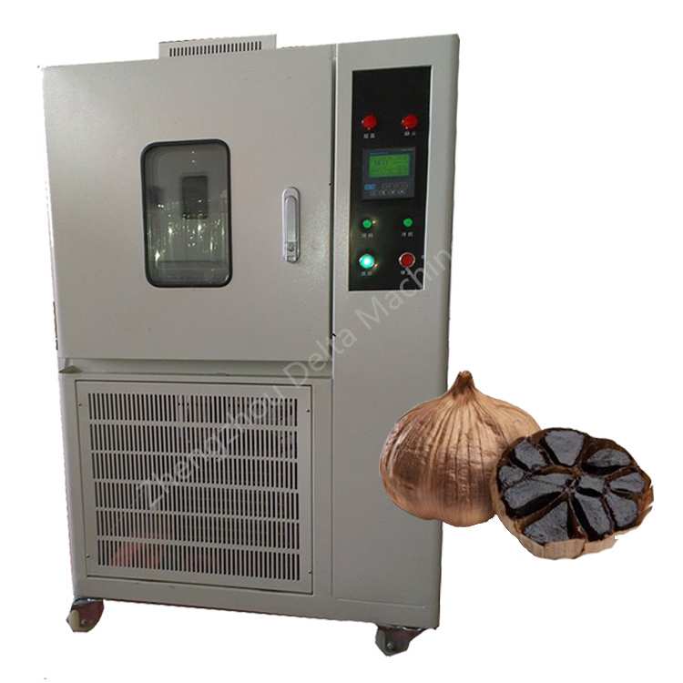 Black Garlic Machine Fermenter Fermenting Machine - Zhengzhou Delta ...